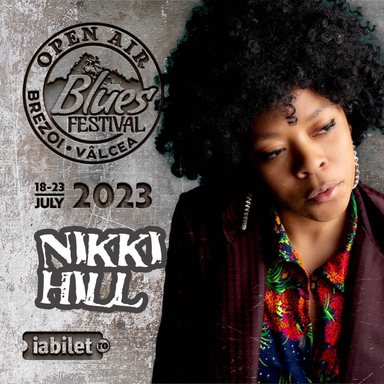 Home | Open Air Blues Festival Brezoi