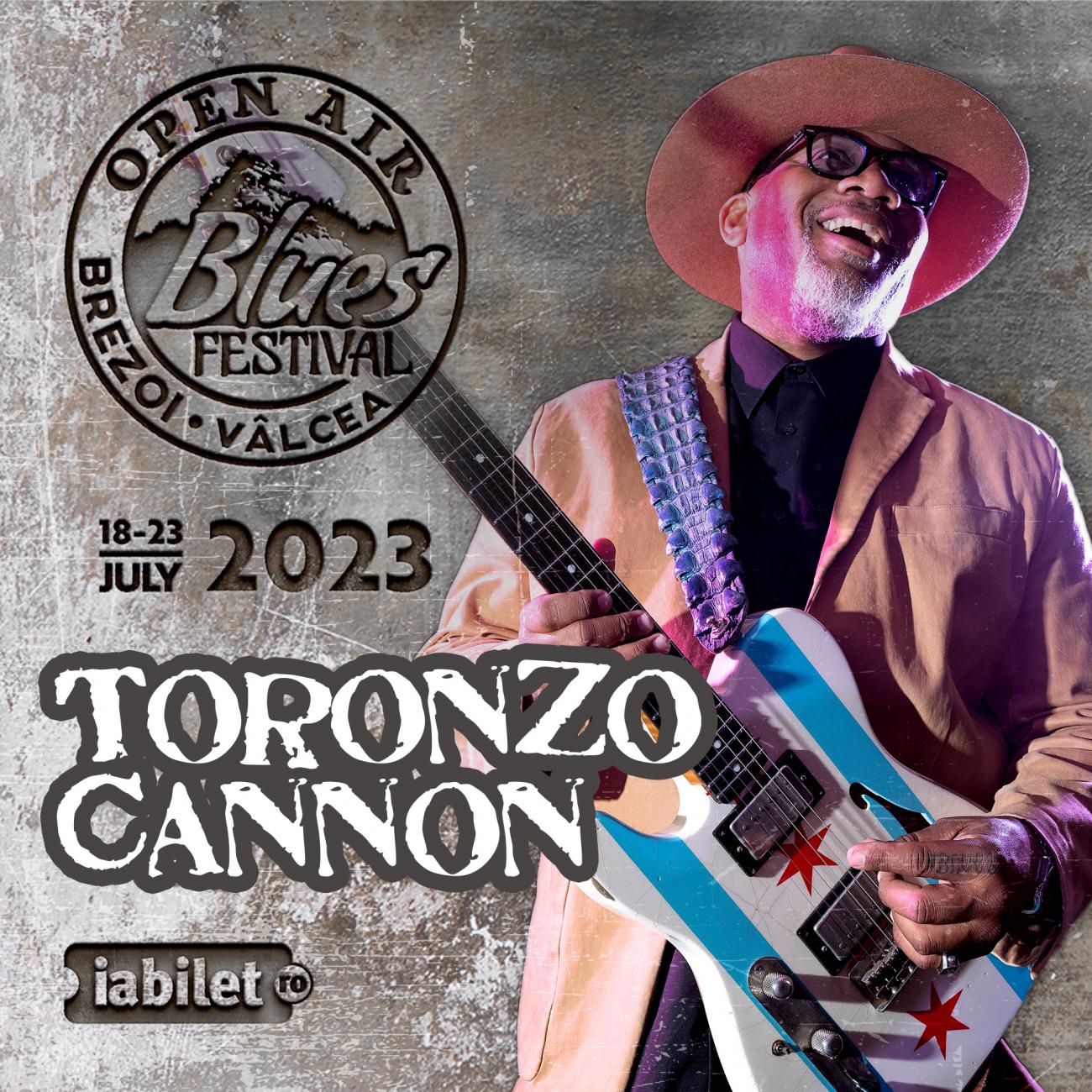 Home | Open Air Blues Festival Brezoi