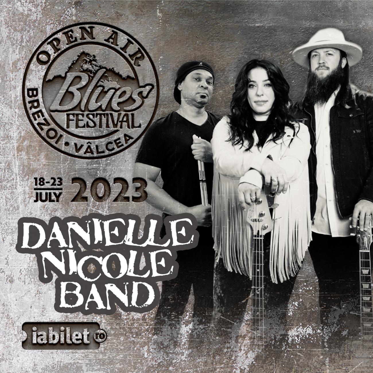 Home | Open Air Blues Festival Brezoi