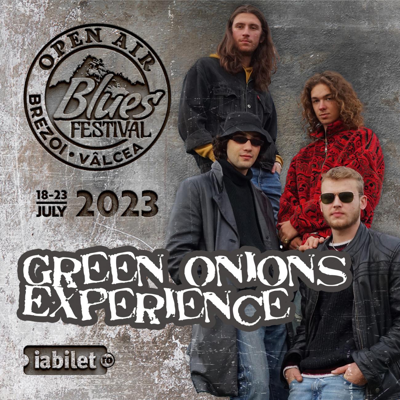 Home | Open Air Blues Festival Brezoi