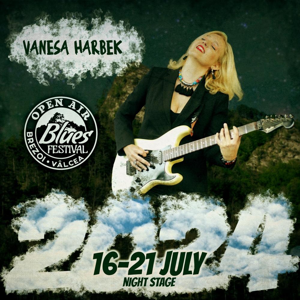 Home | Open Air Blues Festival Brezoi