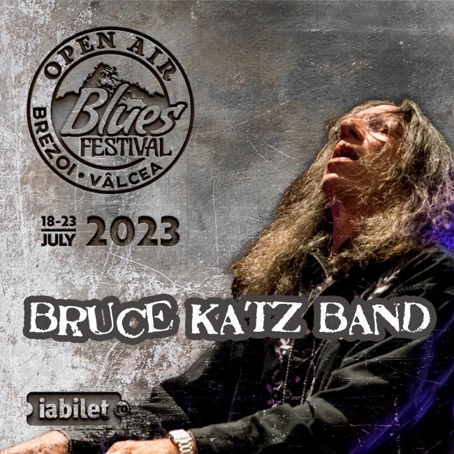 Home | Open Air Blues Festival Brezoi